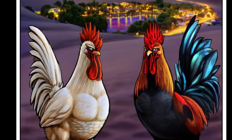 El gallo se enamoro | Actualizado mayo 2023